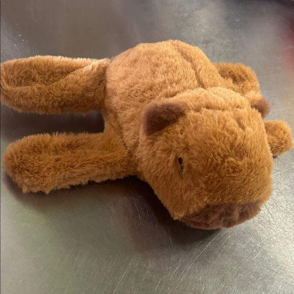 Toys | Capybara Hand Band | Poshmark